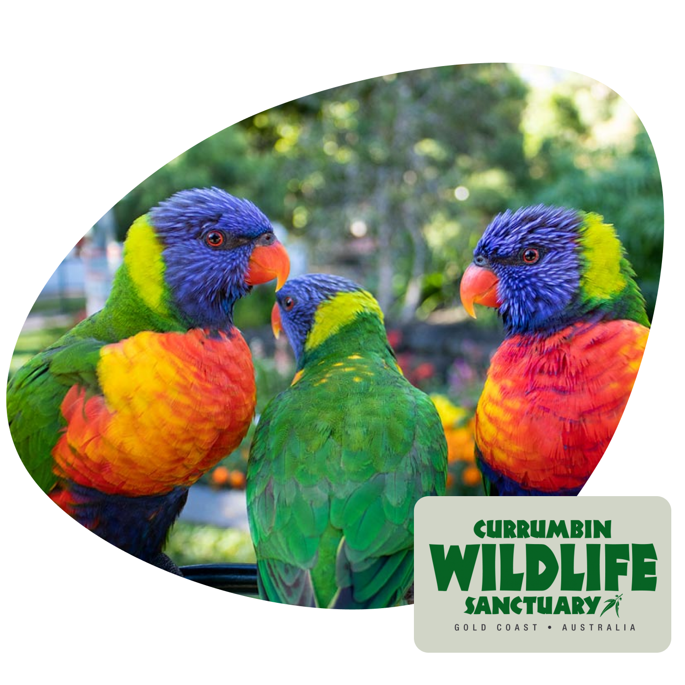 Zoo Software: Modern Zoo & Aquarium Management Software - ROLLER