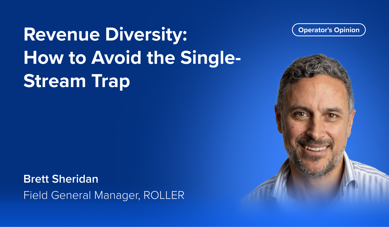Revenue Diversity: How to Avoid the Single-Stream Trap